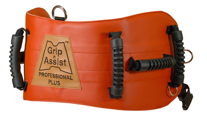 GRIP-N-ASSIST GAIT LIFT ASSISTIVE DEVICE-PROFESSIONAL PLUS - GRIP ...
